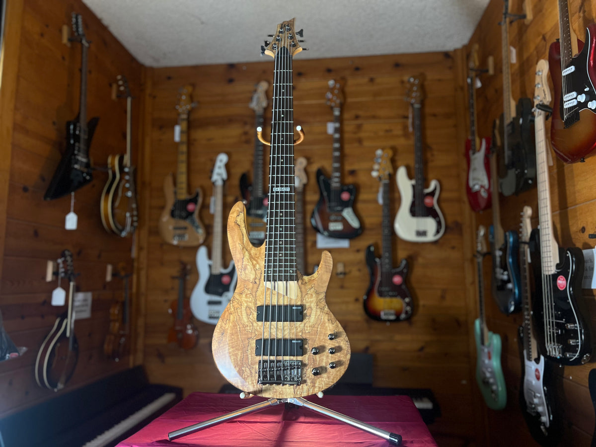 ESP LTD 6-String Electric Bass Guitar in Natural Satin B-206SM ...