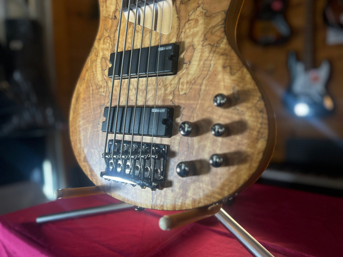 ESP LTD 6-String Electric Bass Guitar in Natural Satin B-206SM ...