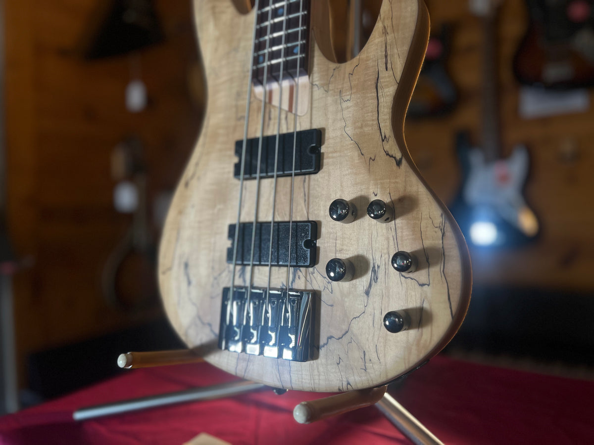 ESP LTD B-204SM 4-String Electric Bass in Spalted Maple – American ...